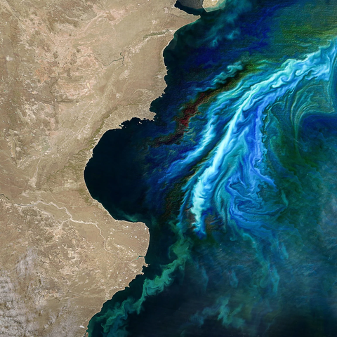 Algae Products Market to Reach $3.92 Billion by 2030 | PyroFarms