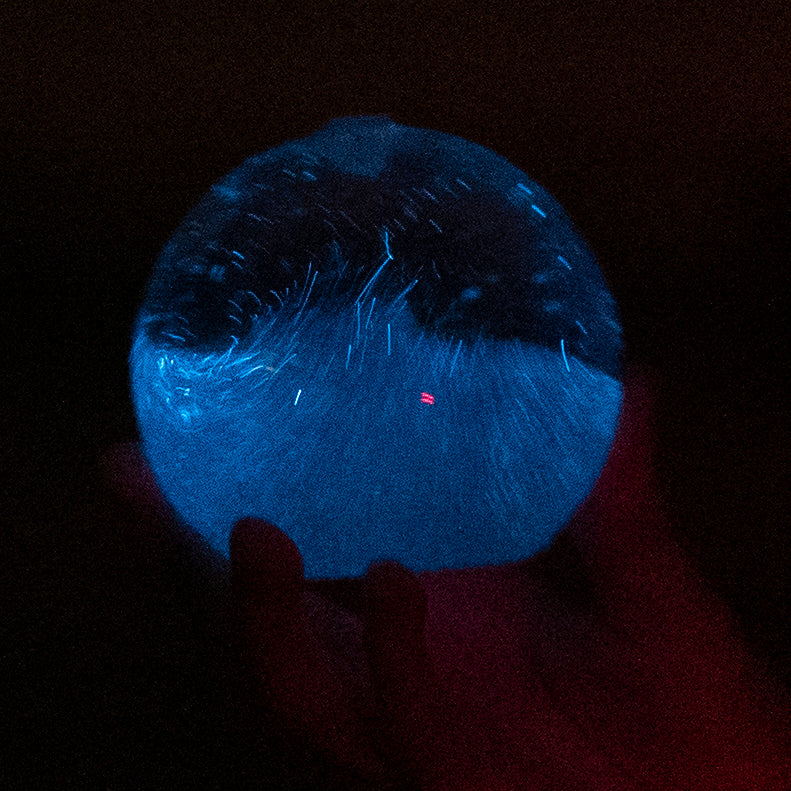 Bio-Orb Unboxing and Simple Set-Up | PyroFarms