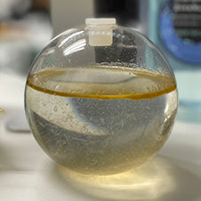 Feeding and Cleaning Your Bio-Orb | PyroFarms