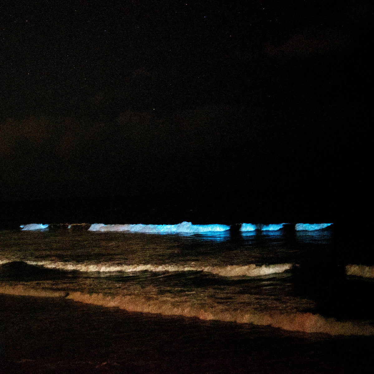 Bio-Light a sustainable light source | PyroFarms