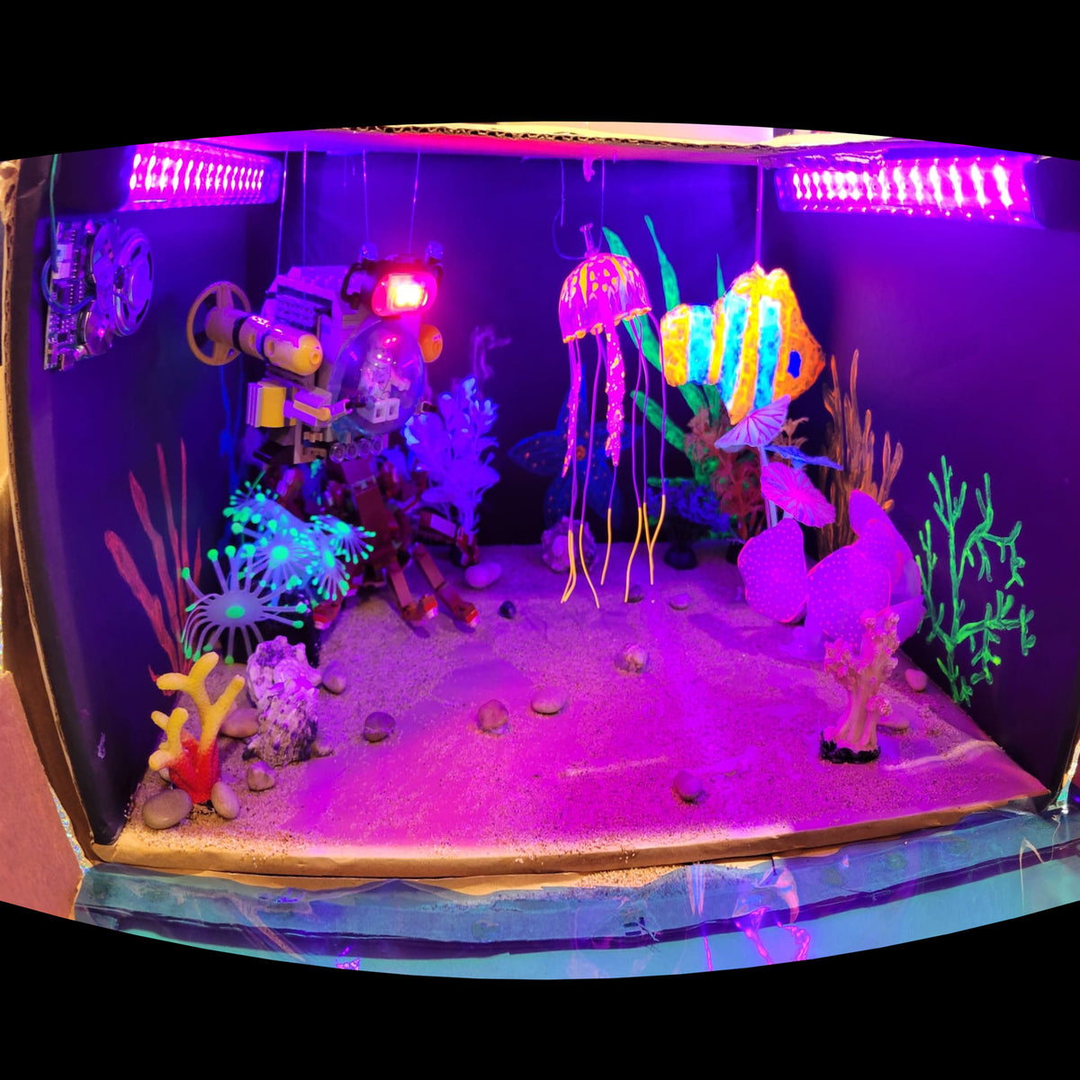 PyroFarms’ Blue Light Shines at FLL Innovation Project | PyroFarms