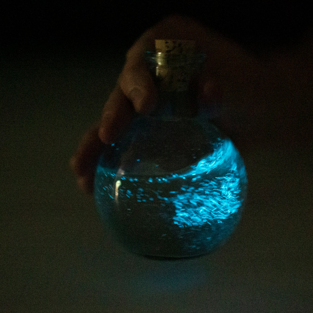 Grow More - Glow More - Know More - An Overview | PyroFarms