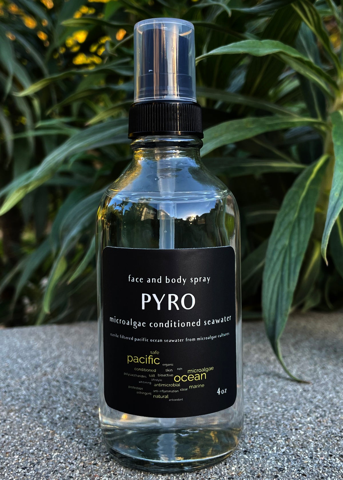 Seawater Helps to Hydrate and Soothe Skin | PyroFarms