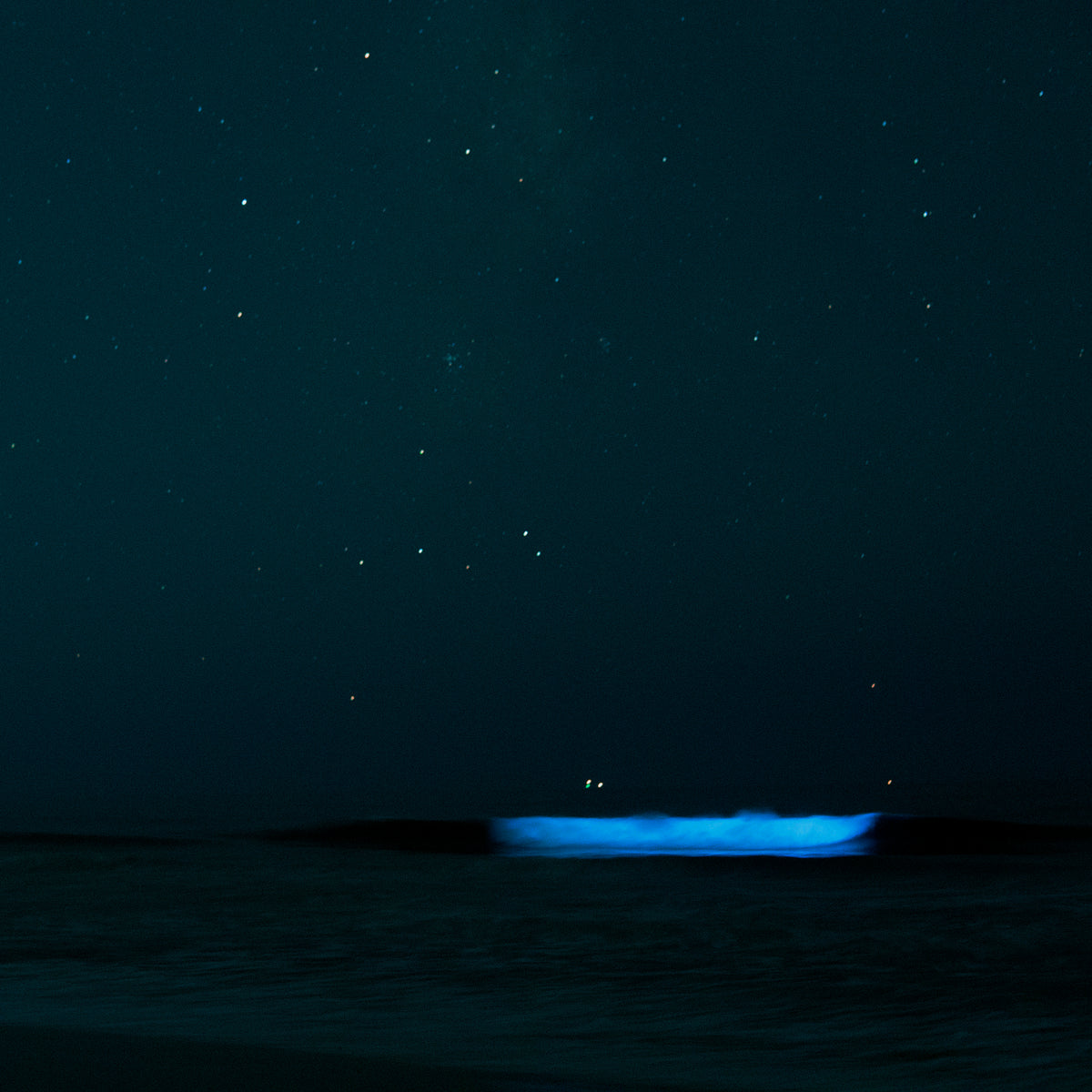 Bioluminescent Algae Bloom off the coast of San Diego | PyroFarms