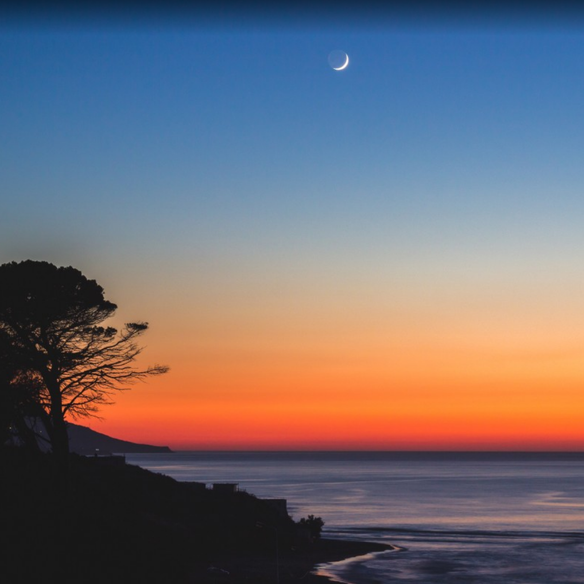 The Mysterious Ocean: Exploring its Depths, Currents, and Ecosystems ...