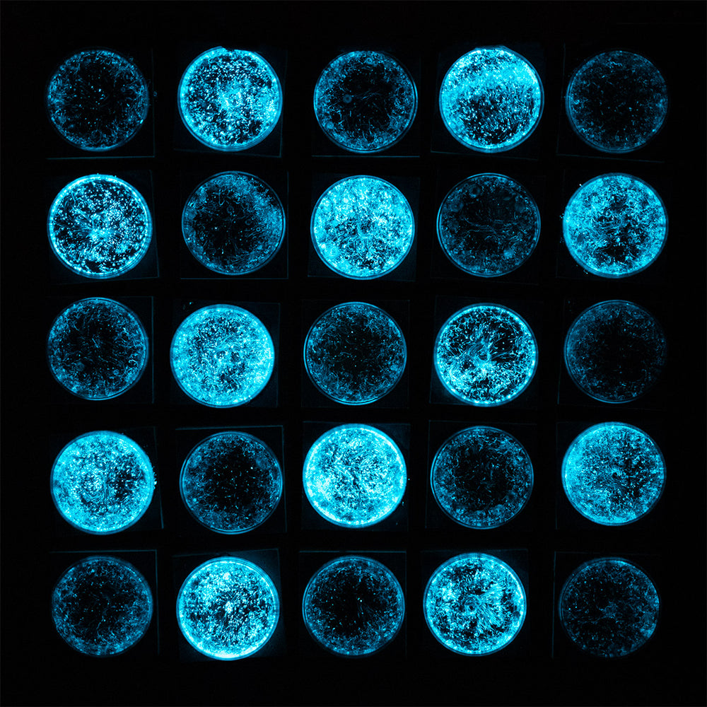 PyroFarms collaboration with artist-scientist Zoë Breed induces brilli ...