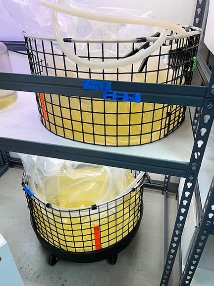 PyroDinos 100 Liters (25 gallon HDPE barrel) | PyroFarms