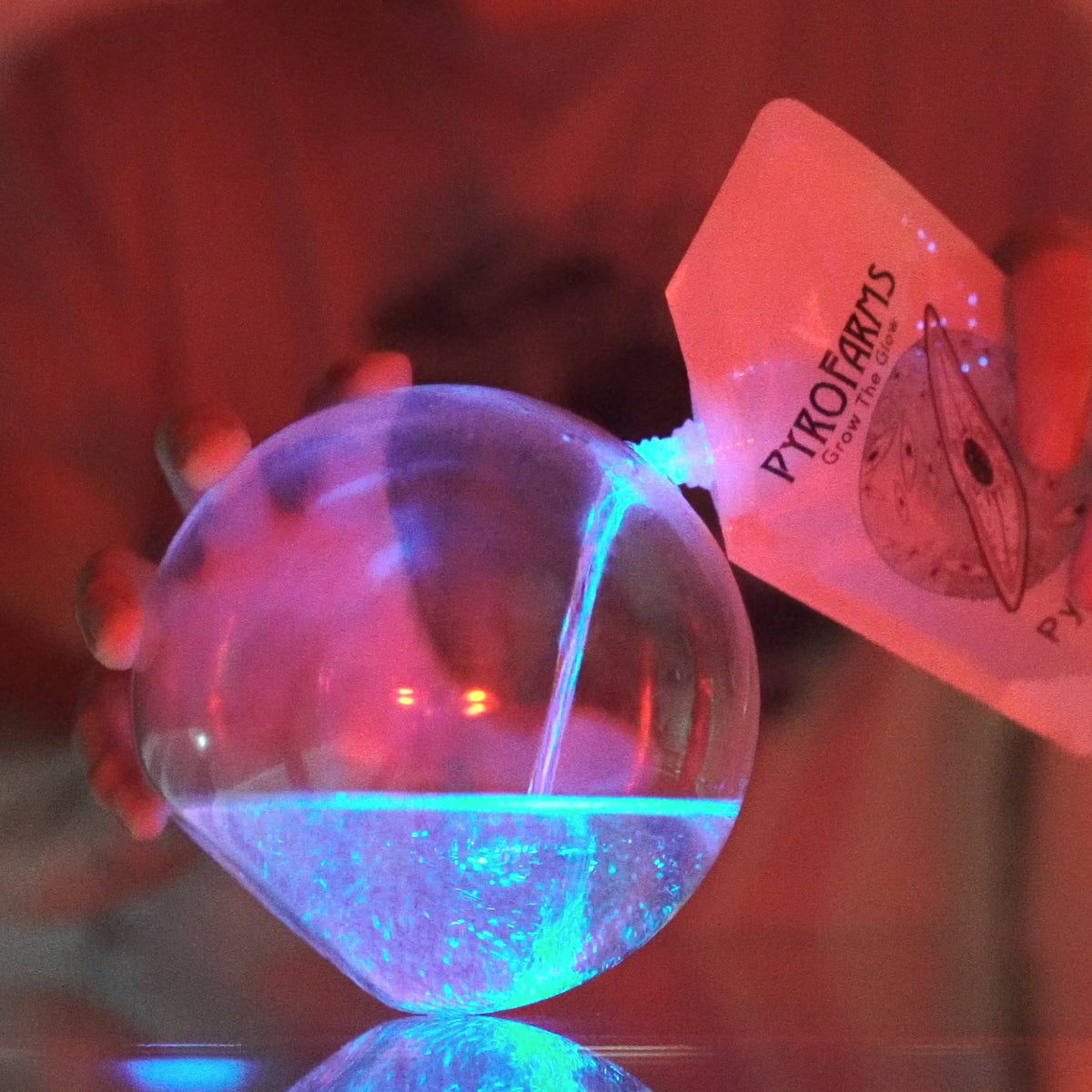 PyroFarms - Grow the Glow - bioluminescent dinoflagellates