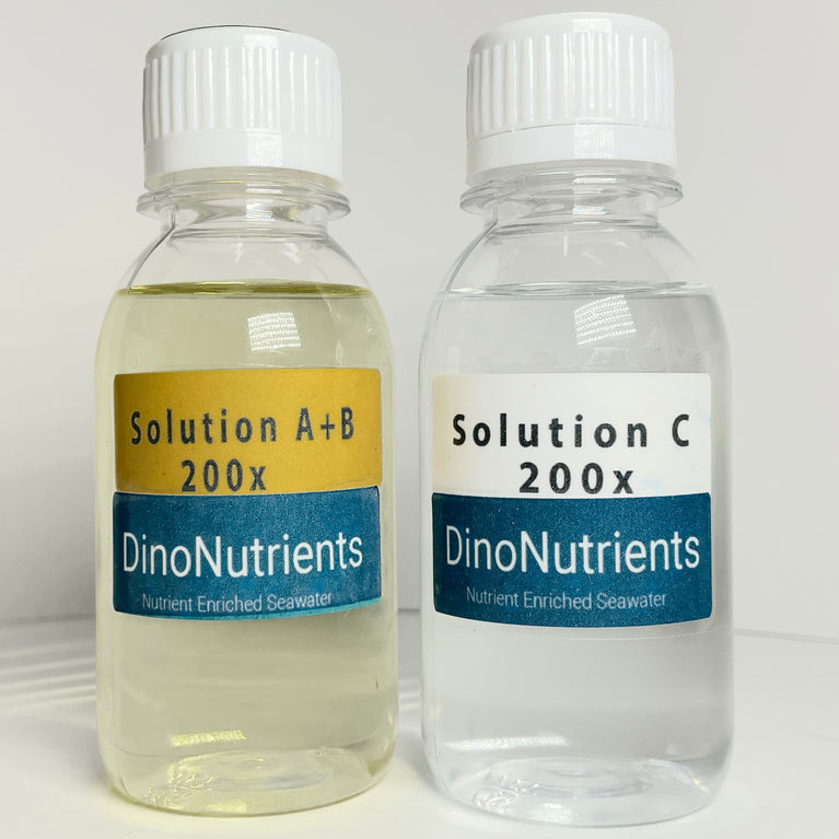 PyroDinos 3 pack | PyroFarms