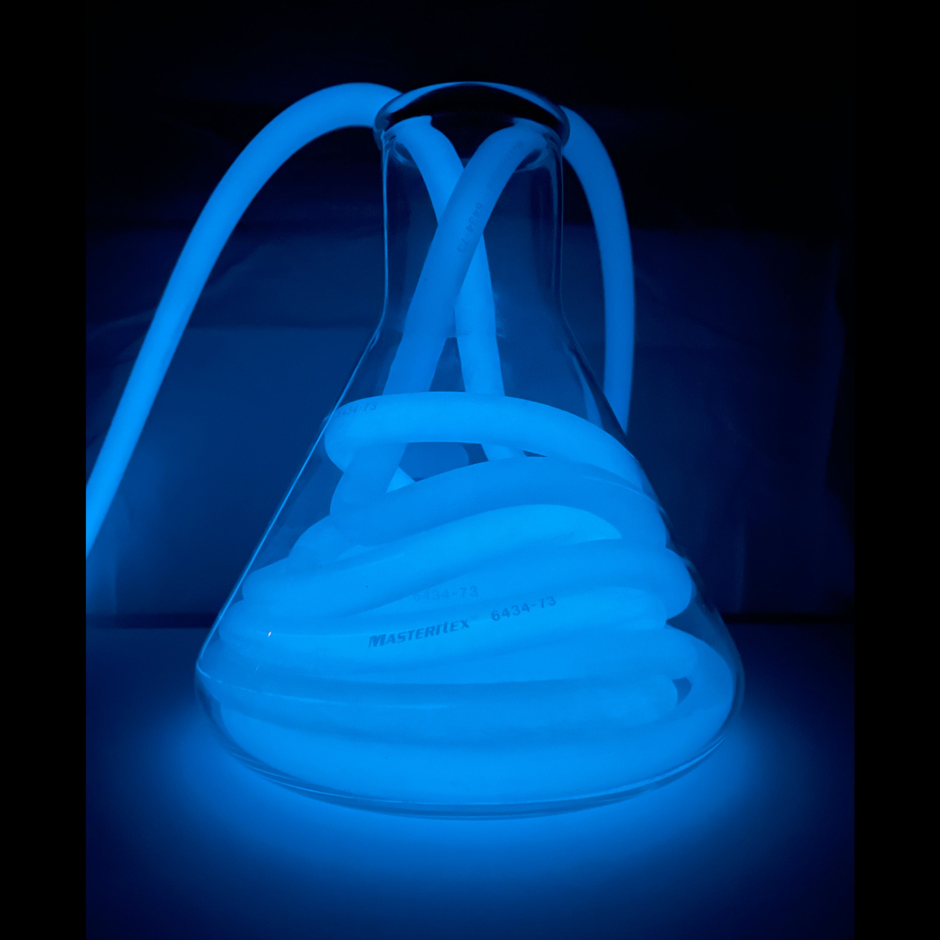 PyroFarms - Grow the Glow - bioluminescent dinoflagellates