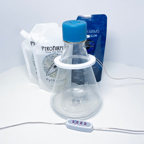 Bioluminescent Bio-Orb with PyroDinos (bioluminescent plankton) | PyroFarms