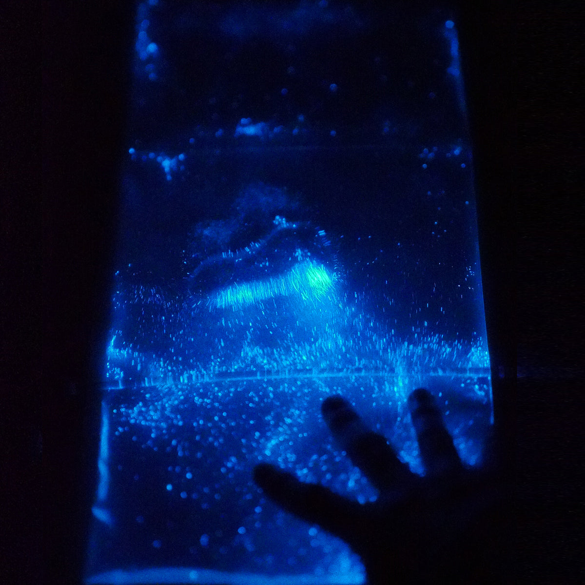 PyroDinos 100 Liters (25 gallon HDPE barrel) | PyroFarms