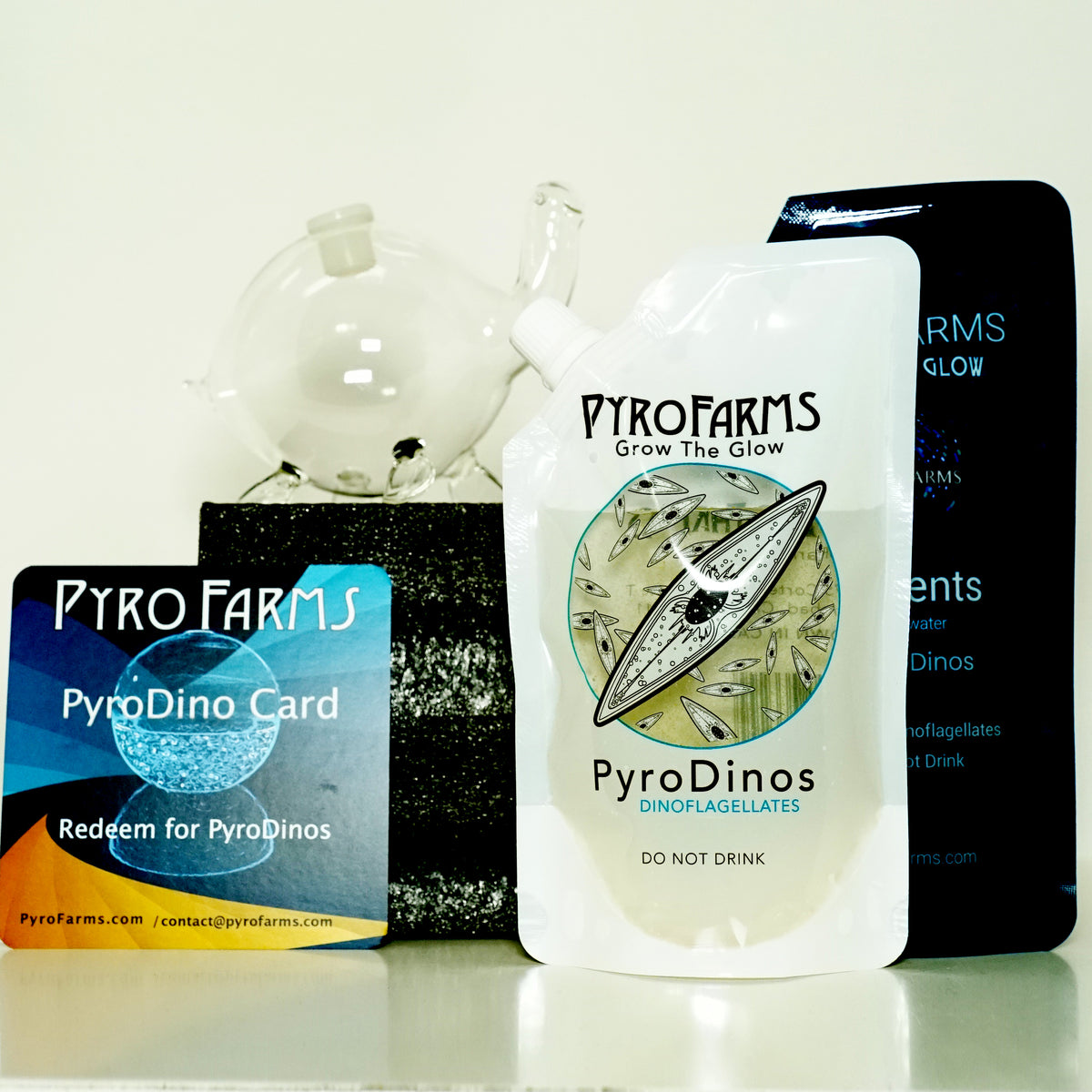 Bioluminescent Bio-Turtle - Gift Option | PyroFarms