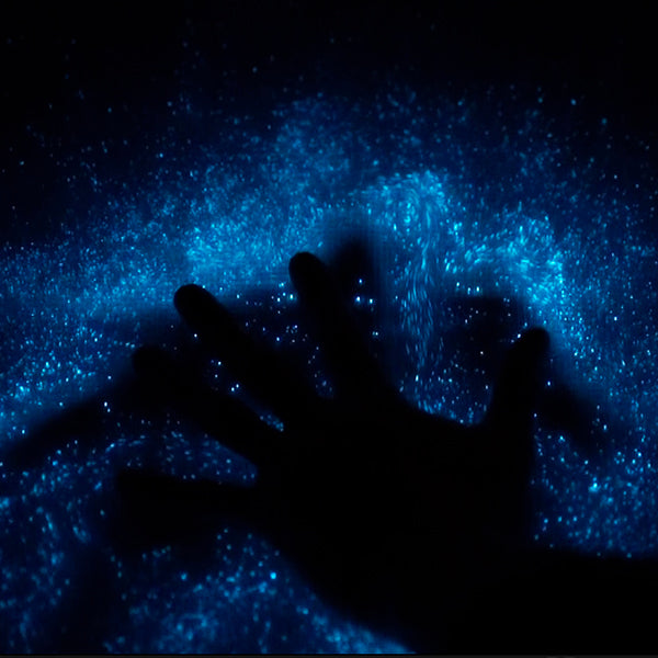 PyroDinos One Liter (1L DinoTile) | PyroFarms