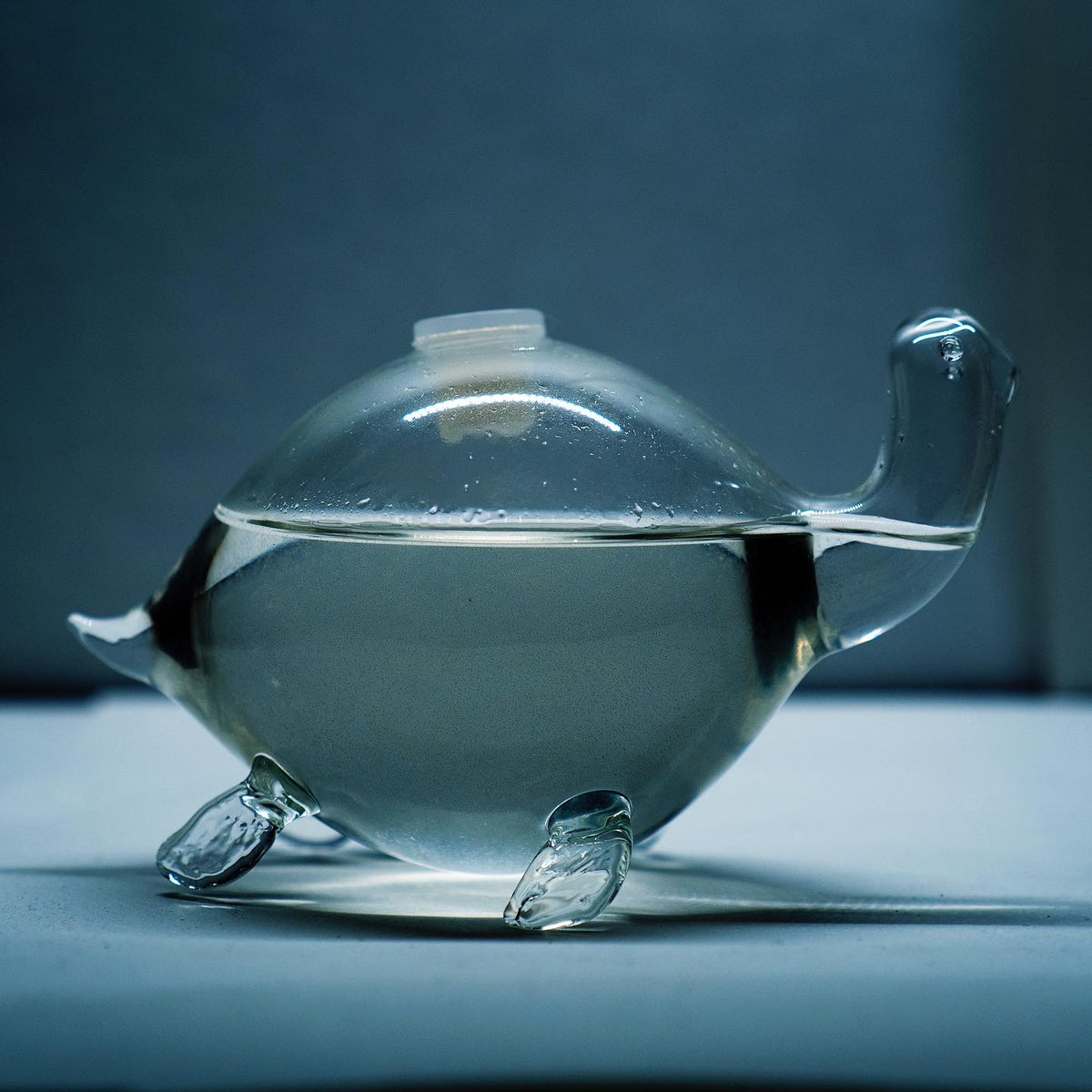 Bioluminescent Bio-Turtle | PyroFarms