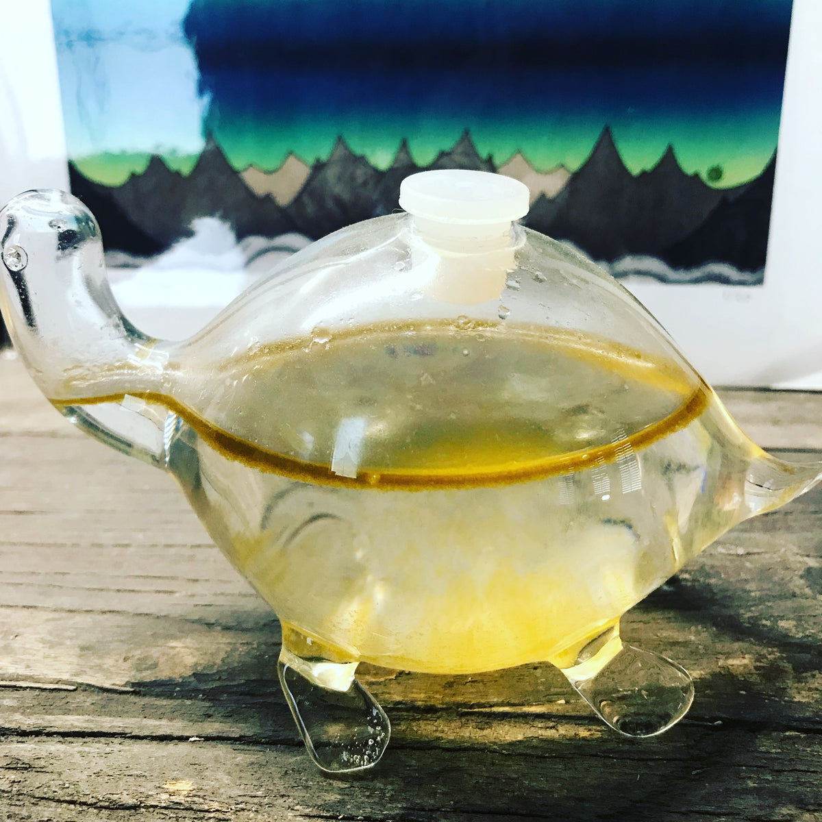 Bioluminescent Bio-Turtle - Gift Option | PyroFarms