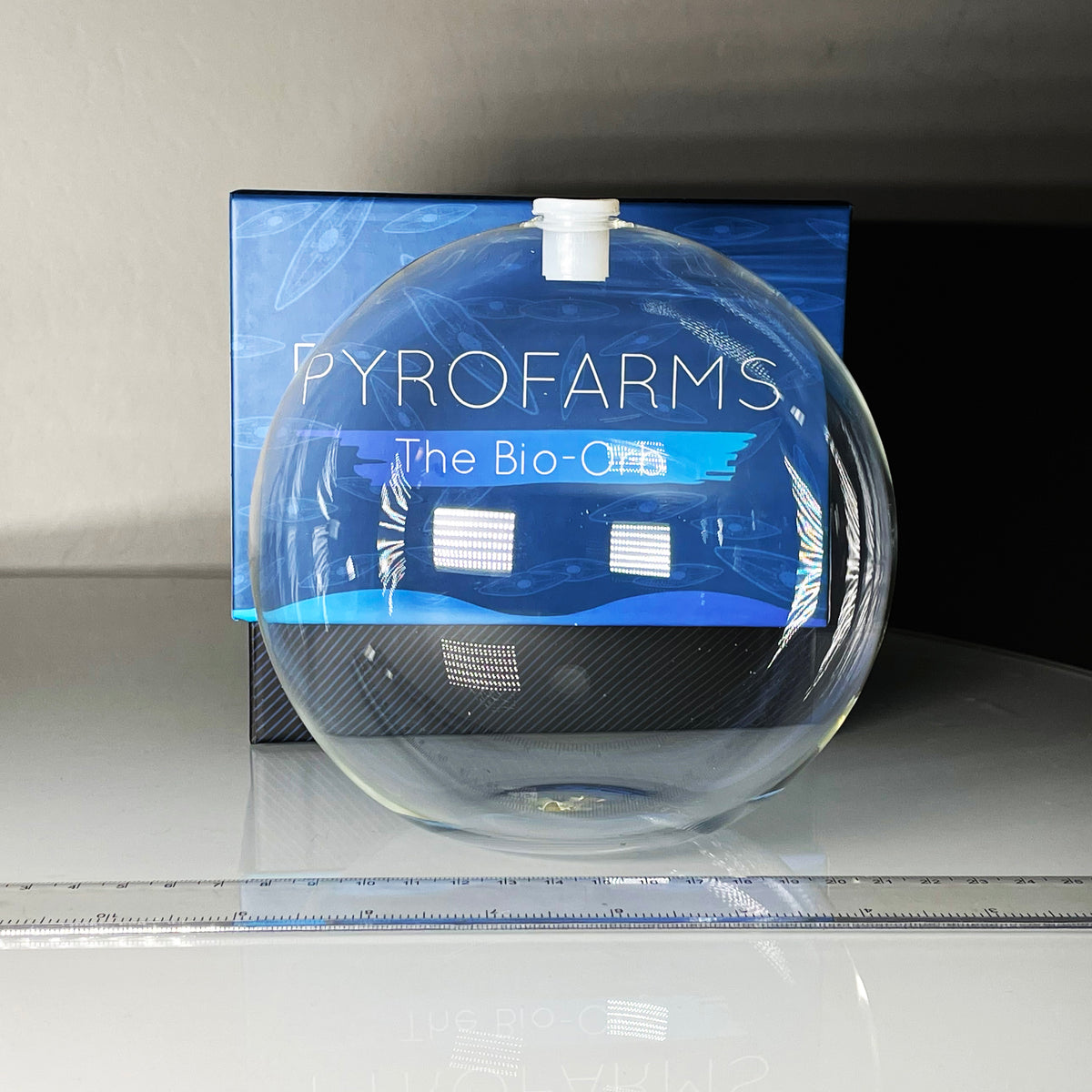 Bio-Orb glass sphere only - 10cm and 15cm sizes | PyroFarms