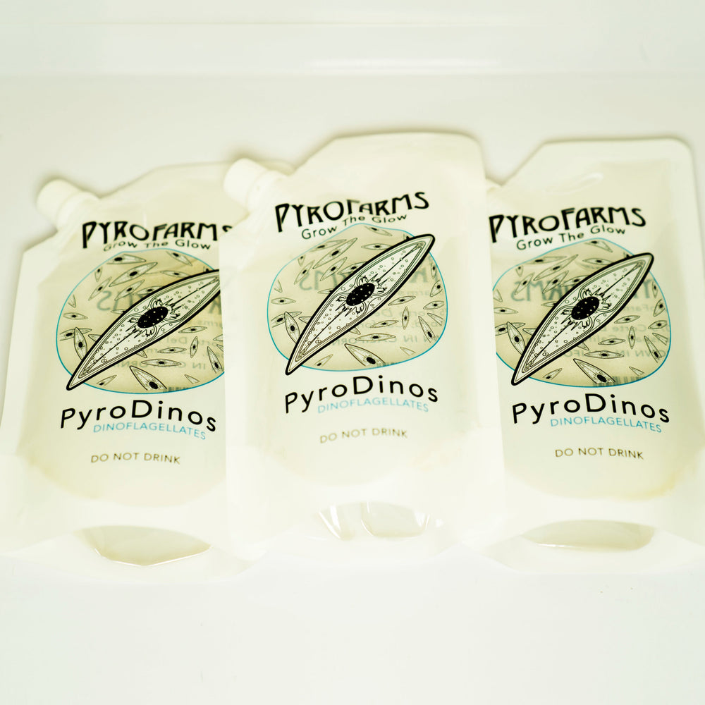 PyroFarms - Grow the Glow - bioluminescent dinoflagellates