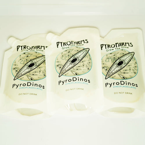 PyroFarms - Grow the Glow - bioluminescent dinoflagellates